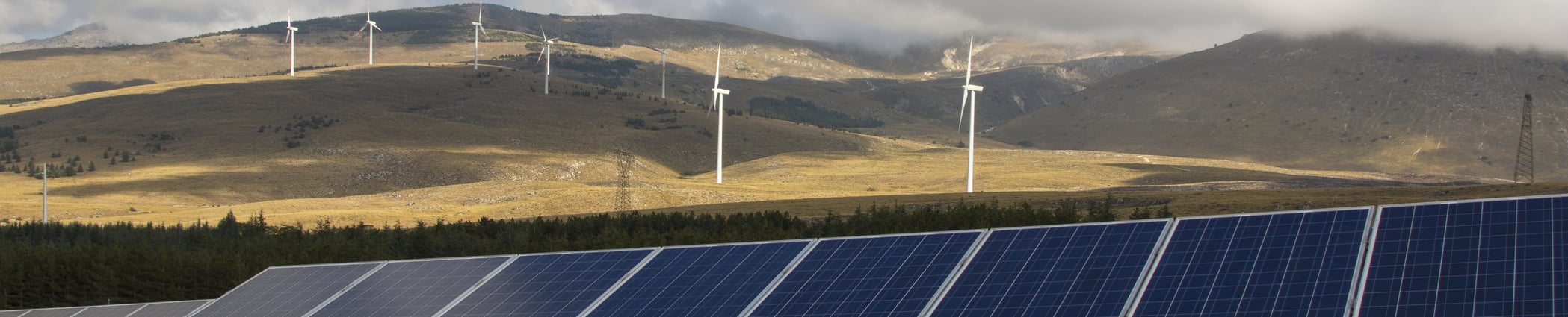 Edition_Renewable