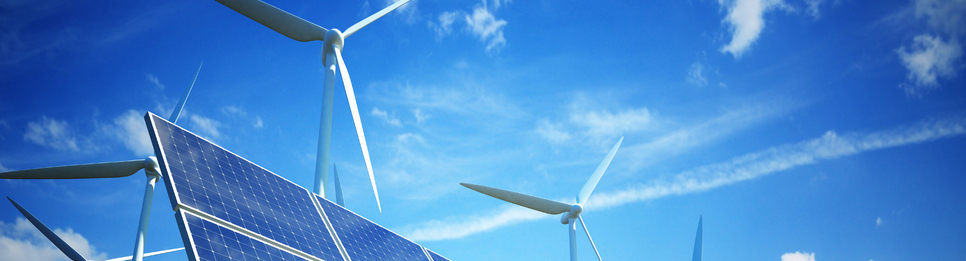 Email renewable form